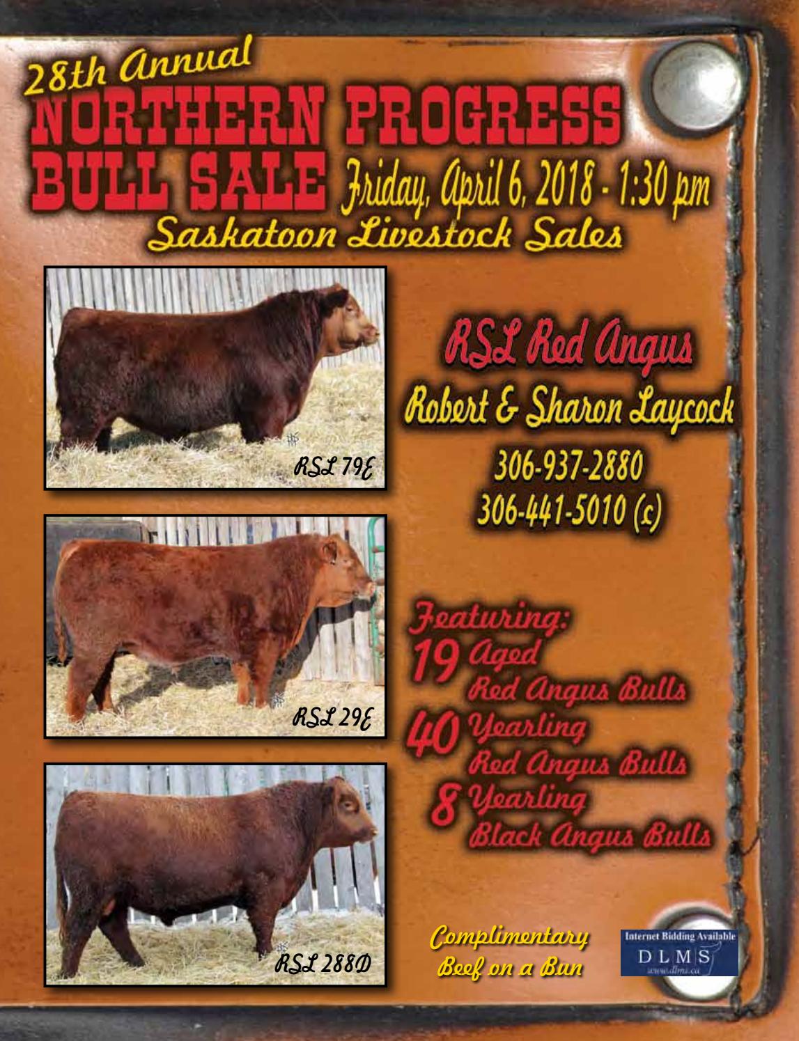 28th Annual Northern Progress Bull Sale by Today's Publishing Inc. - Issuu