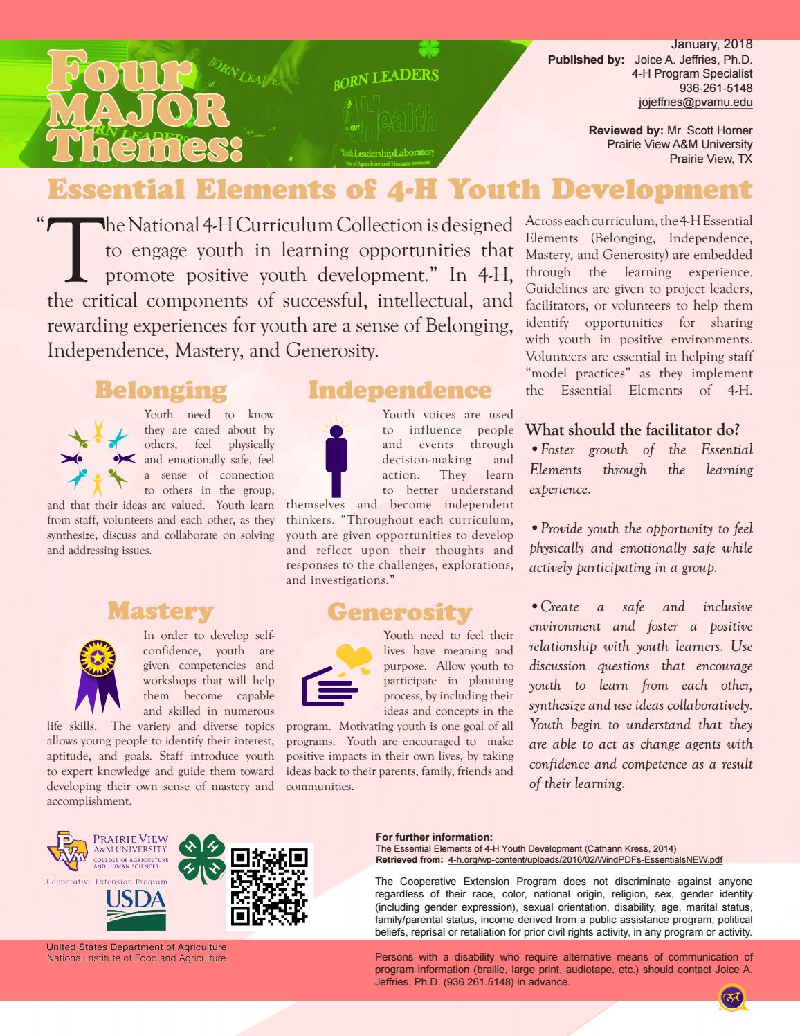 Essential Elements of 4-H Youth Development by PVAMUCAHS - Issuu