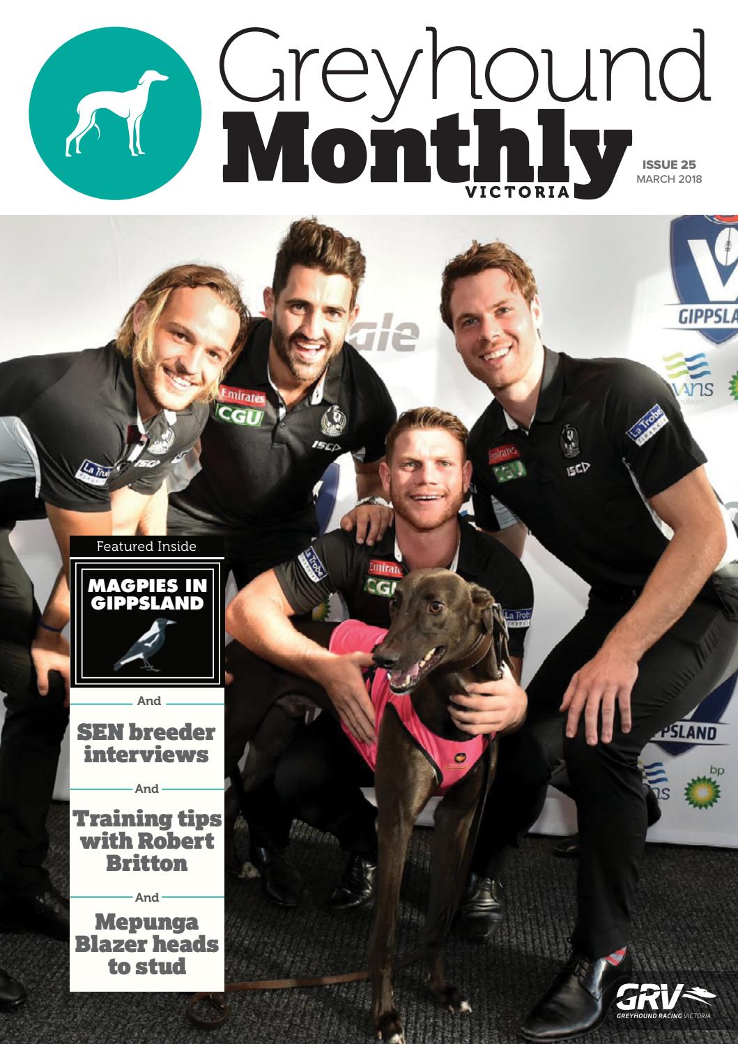 Greyhound Monthly Victoria - Issue 25 by Greyhound Racing Victoria - Issuu