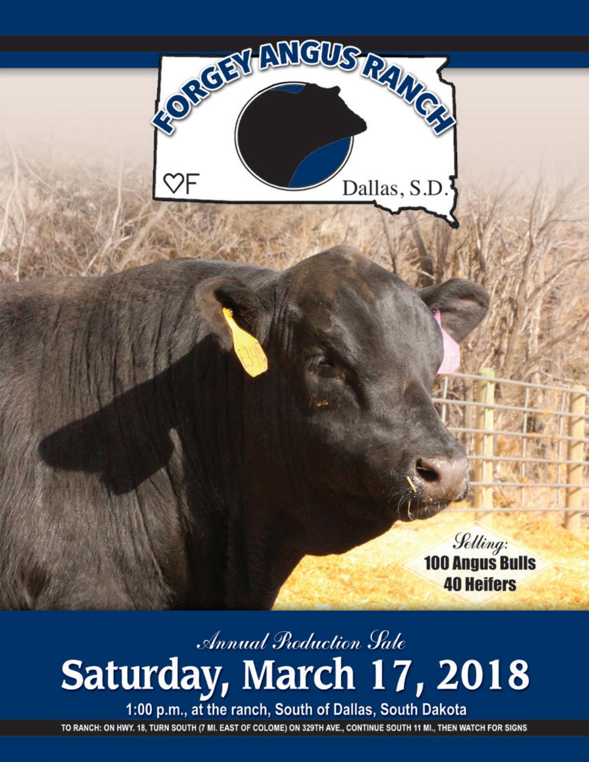 Forgey angus 2018 catalog by RPI Promotions - Issuu