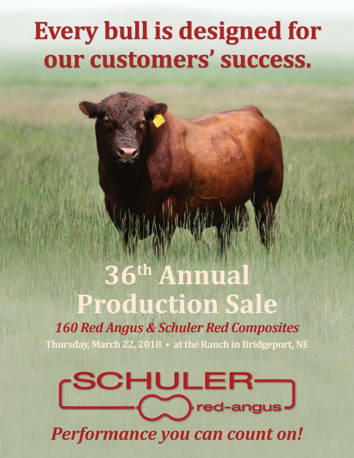 Schuler Red Angus - 2018 Sale Catalog by LivestockDirect - Issuu