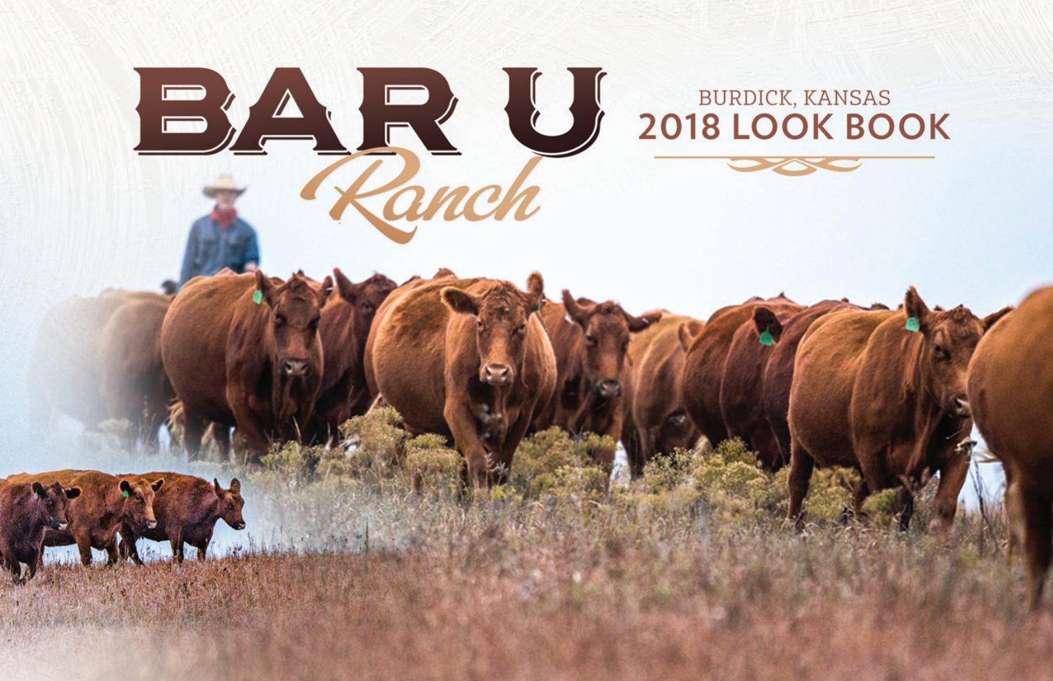 Bar U Ranch 2018 Look Book by Monti West Design - Issuu
