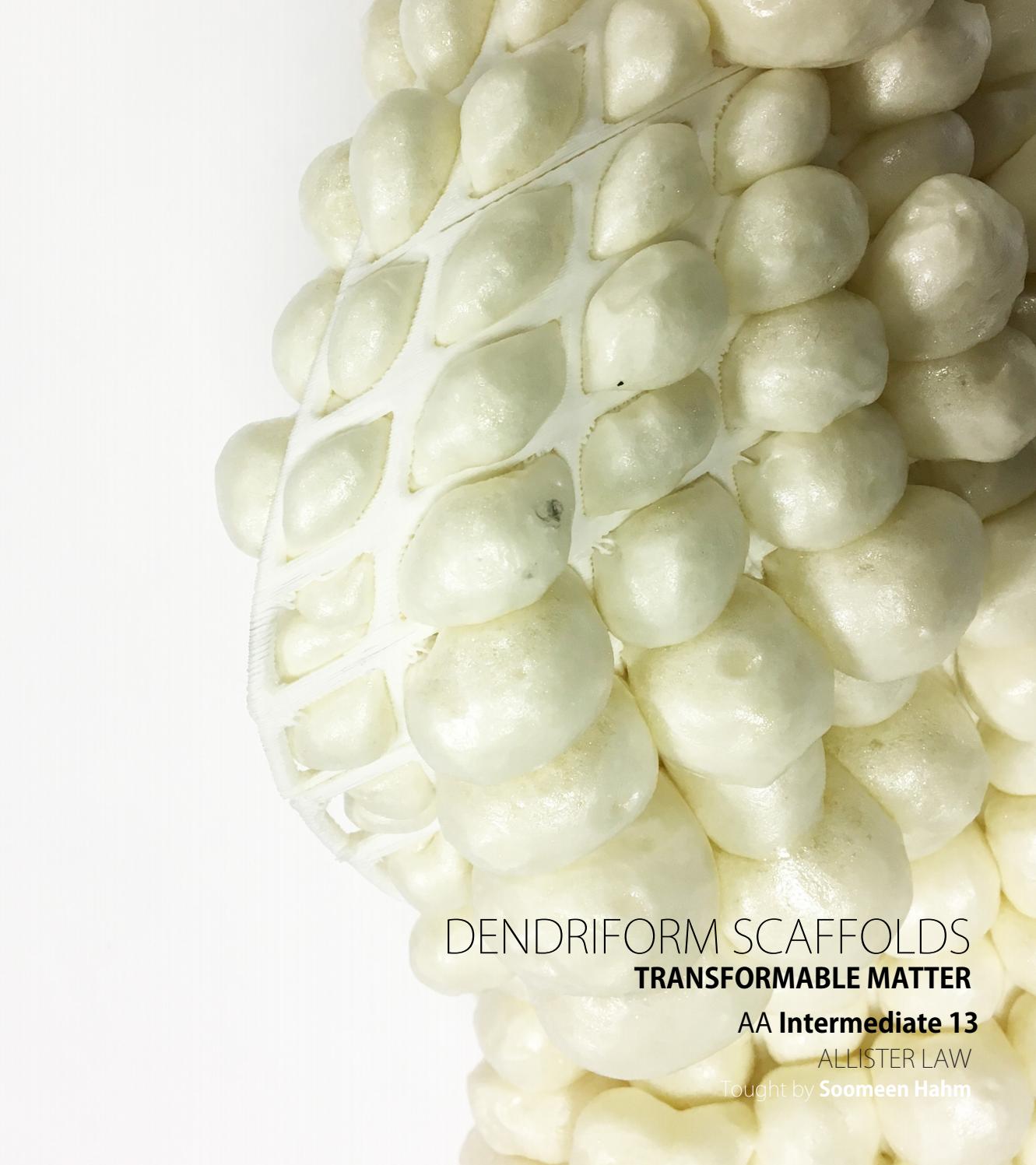 AA Int13 2016/17_DENDRIFORM SCAFFOLDS by SoomeenHahm Design - Issuu