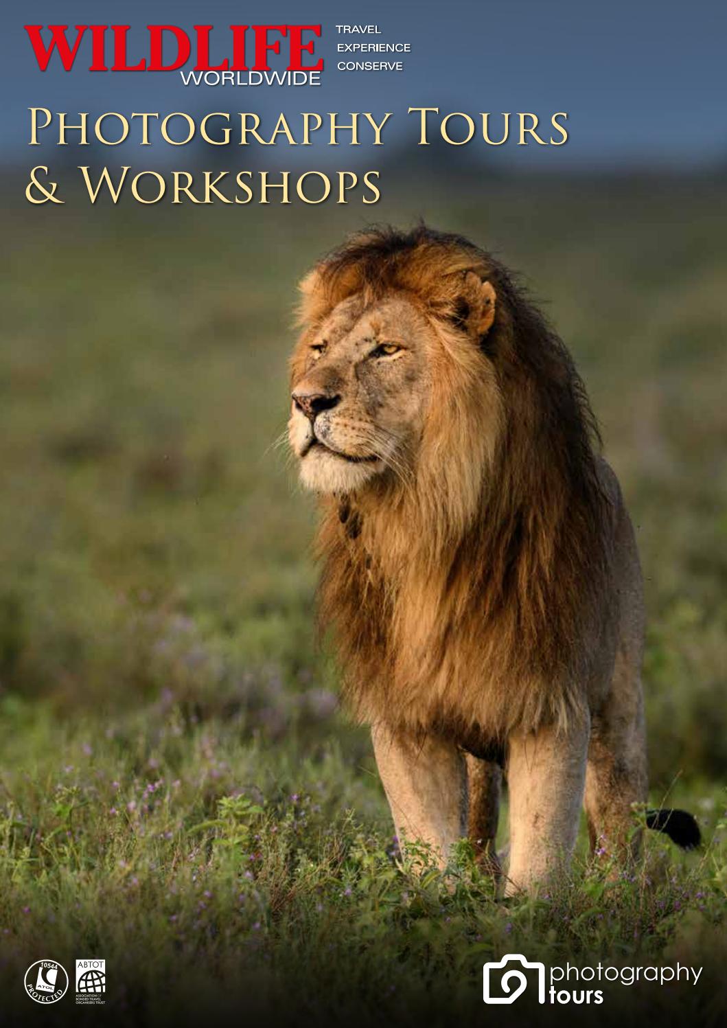 Wildlife Worldwide Photography Brochure 2018 by The Natural Travel ...