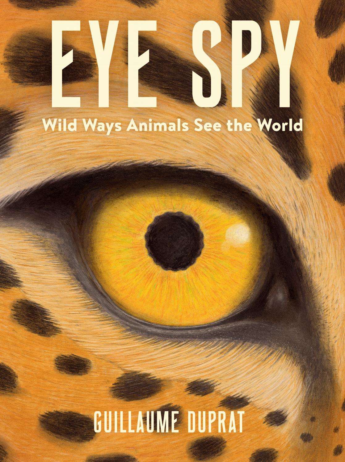 Eye Spy by What on Earth Books - Issuu