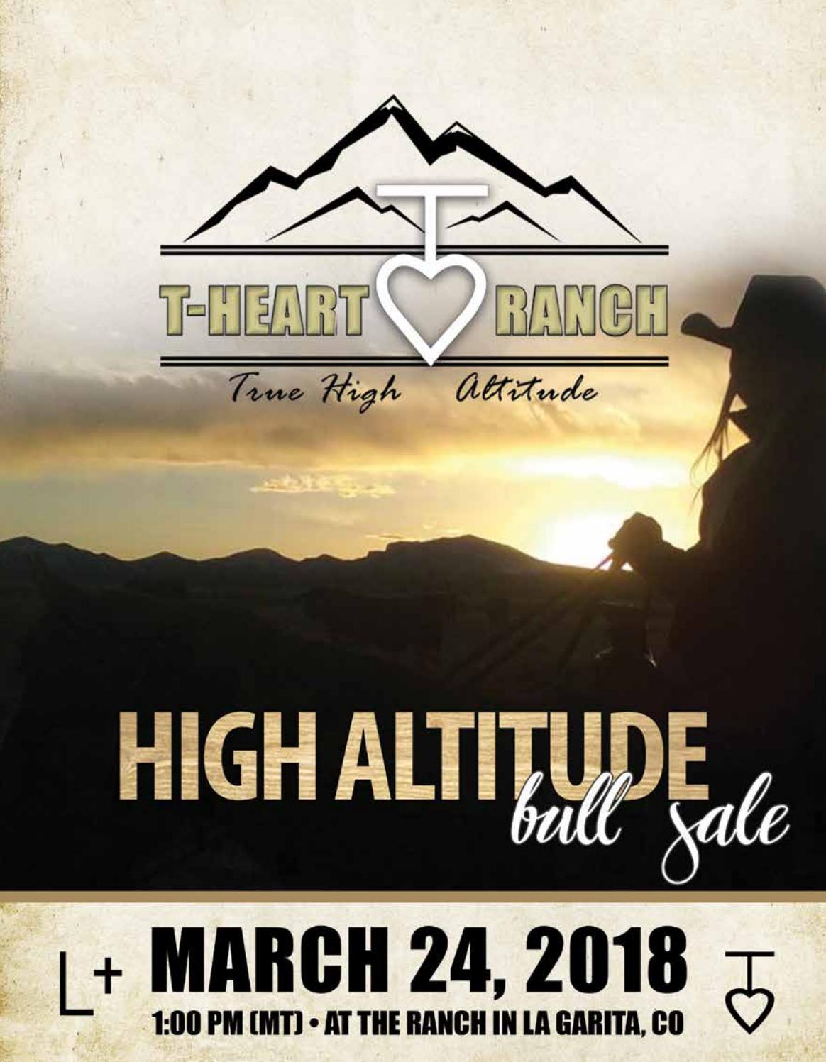 T-Heart Ranch High Altitude Bull Sale by Garrett Thomas - Issuu