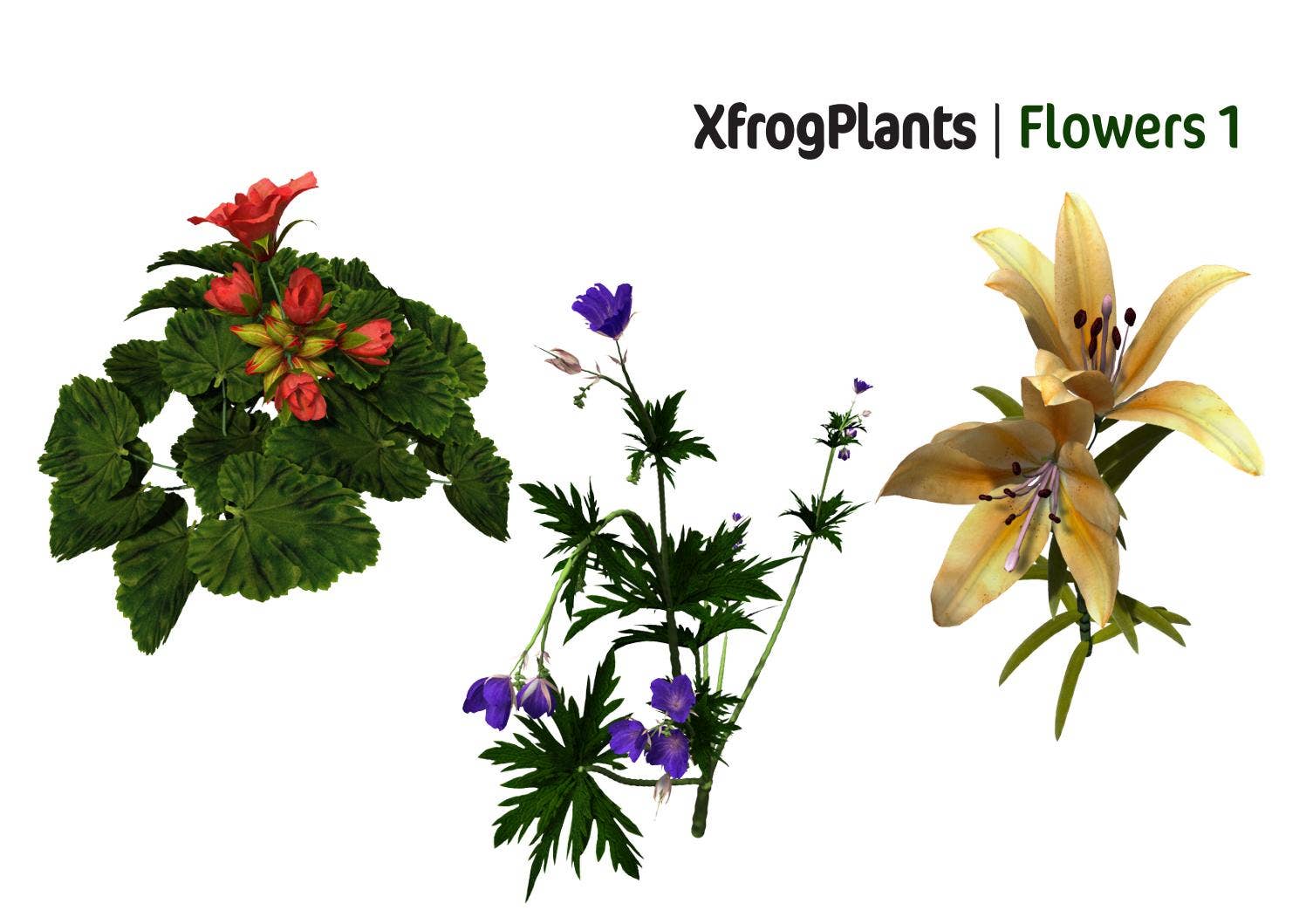Flowers1 xfrogplants en by XFROG - Issuu
