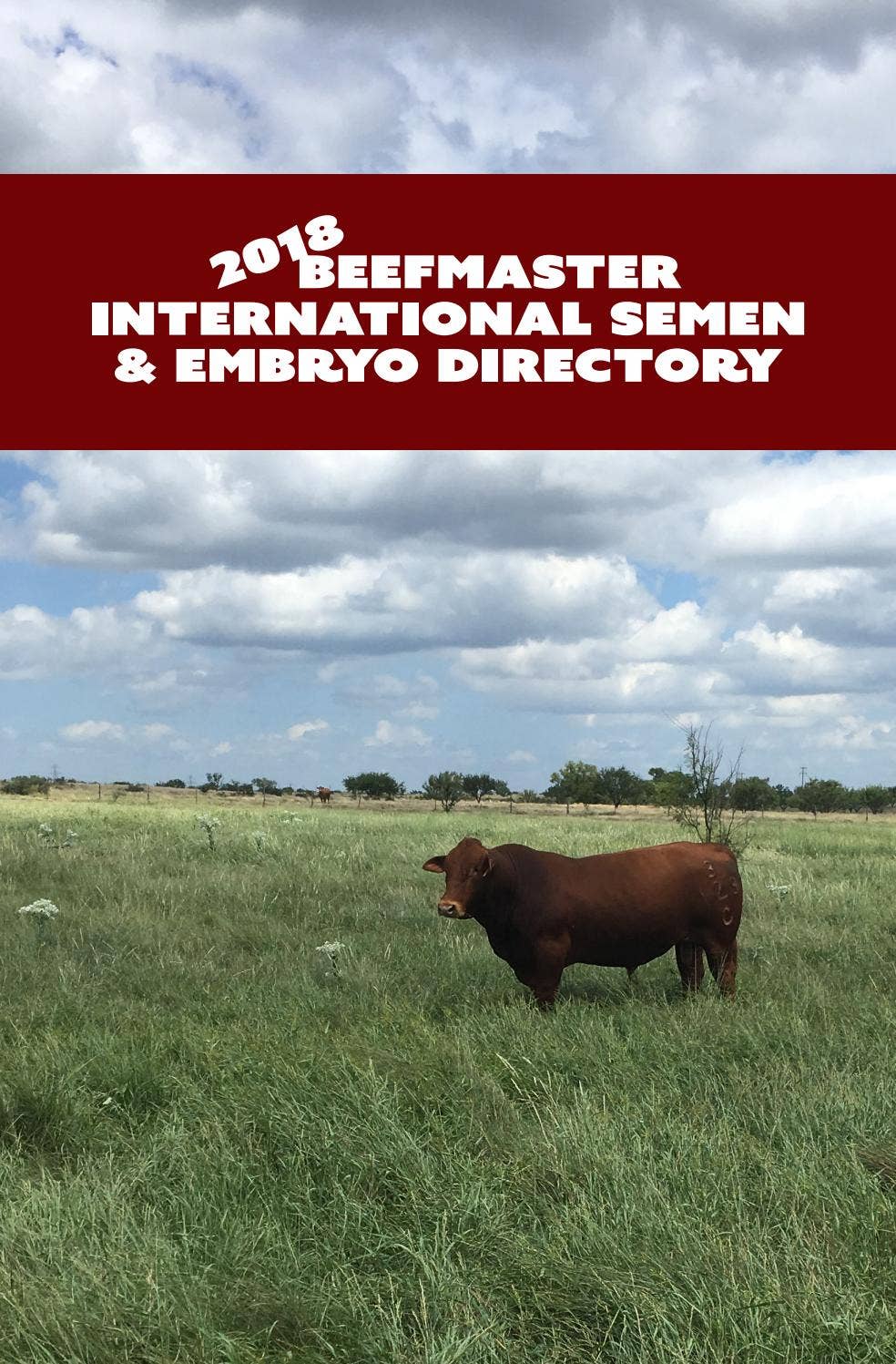 2018 International Semen and Embryo directory by Beefmaster Breeders ...