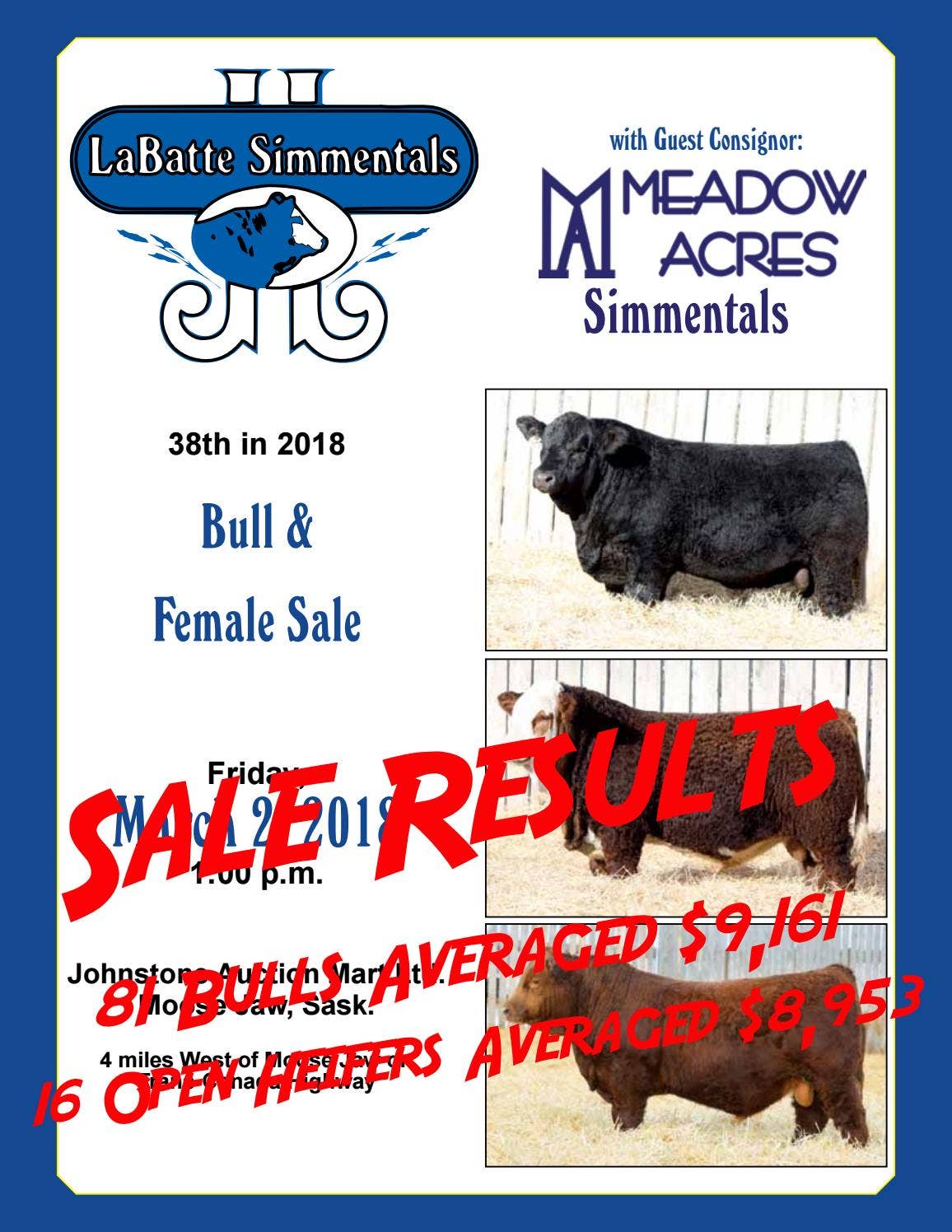 38th Annual LaBatte Simmentals with guest consignor Meadow Aces ...