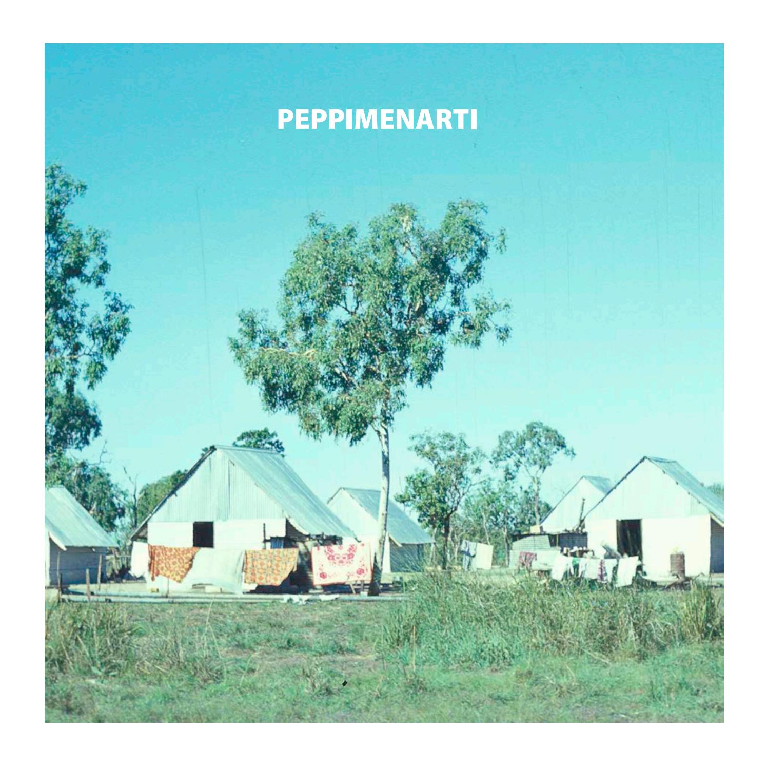 Peppimenarti by roblaz - Issuu