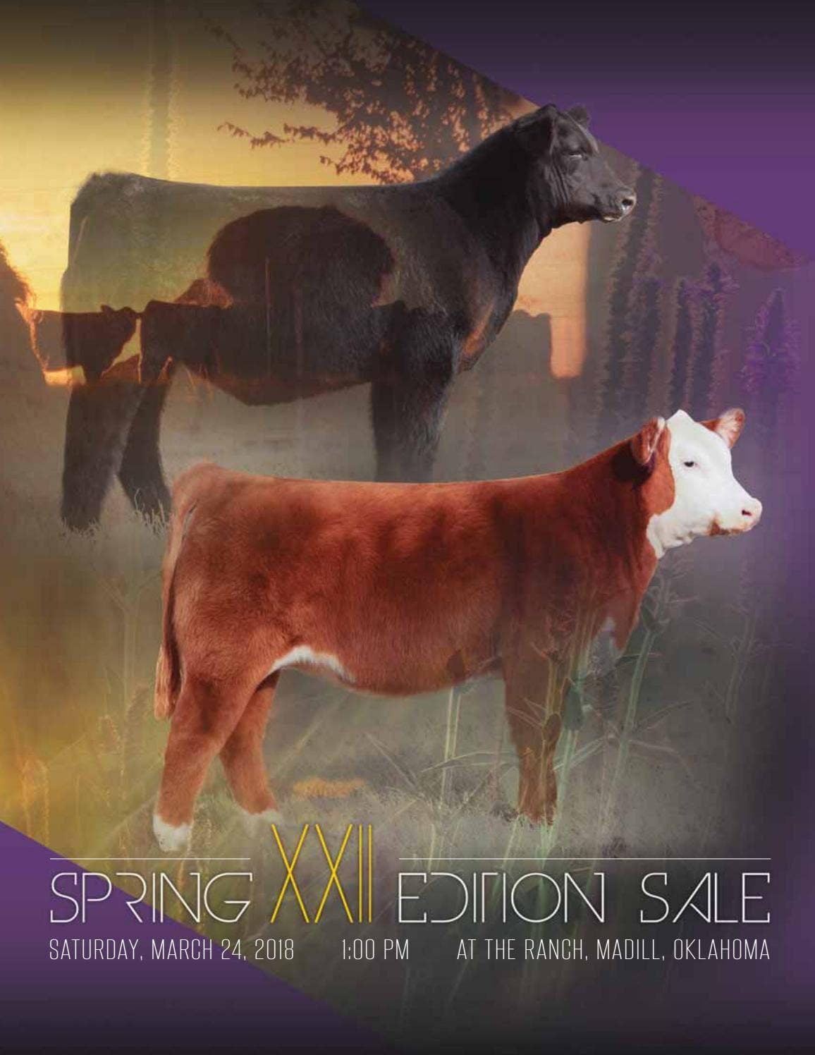 Buck Cattle Co Spring Edition XXII Sale Catalog 2018 by Arin Strasburg ...