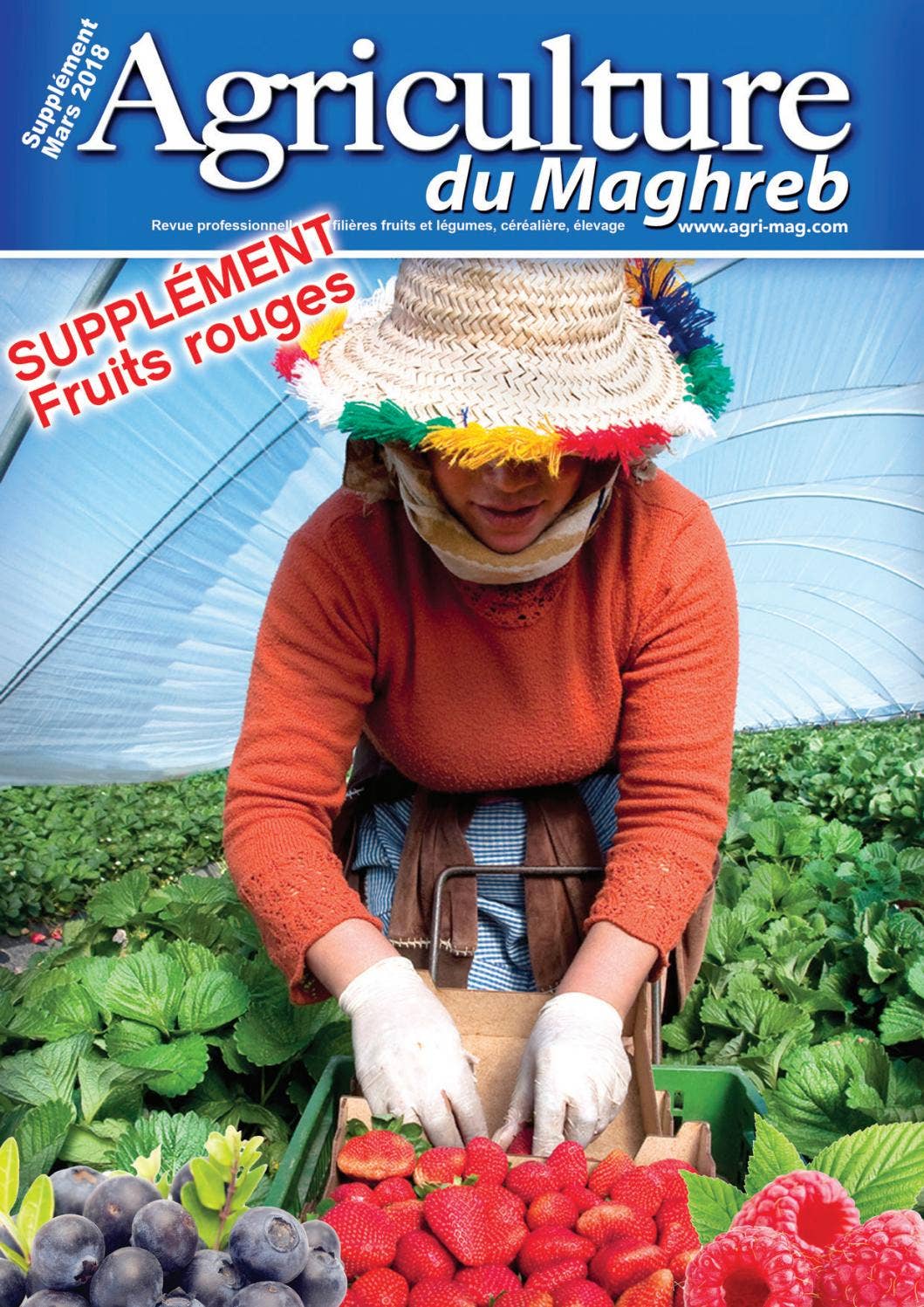 Spécial Fruits rouges, supplément N°110 by AGRICULTURE du MAGHREB - Issuu