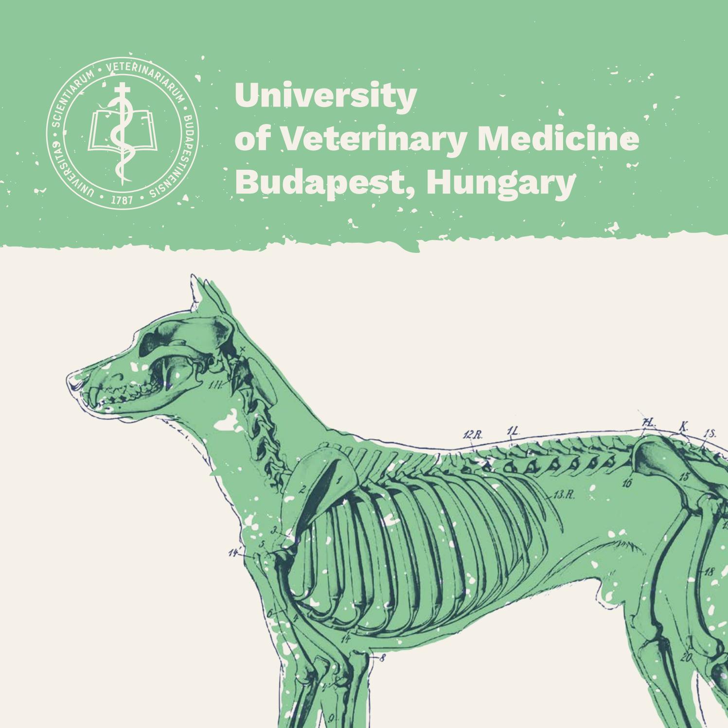 UNIVET FLYER by Állatorvostudományi Egyetem - Issuu