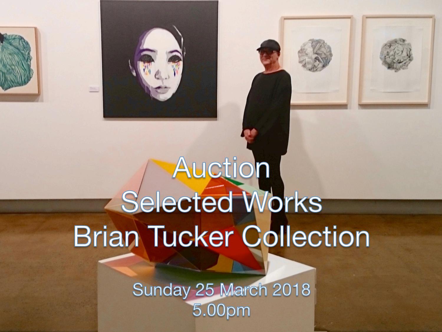 Catalogue : Selected Works Brian Tucker Collection by Jan Manton ...