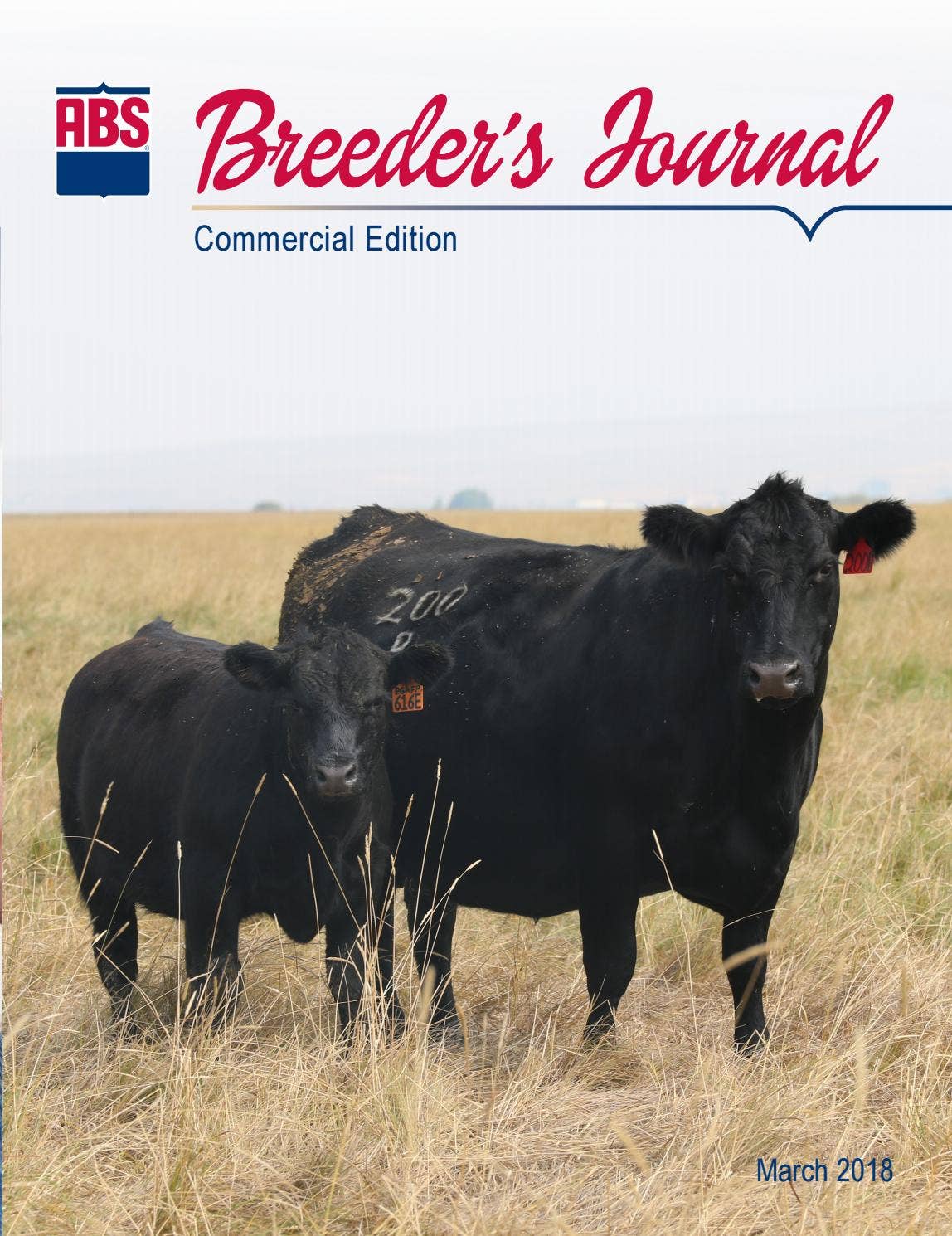 Beef Breeder's Journal - Commercial Edition by ABS Global, Inc. - Issuu