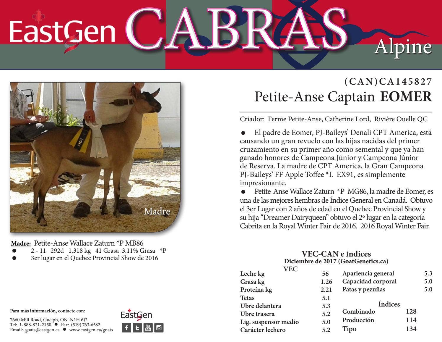 Spanish Buck Catalogue Feb 2018 lowres by EastGen - Issuu