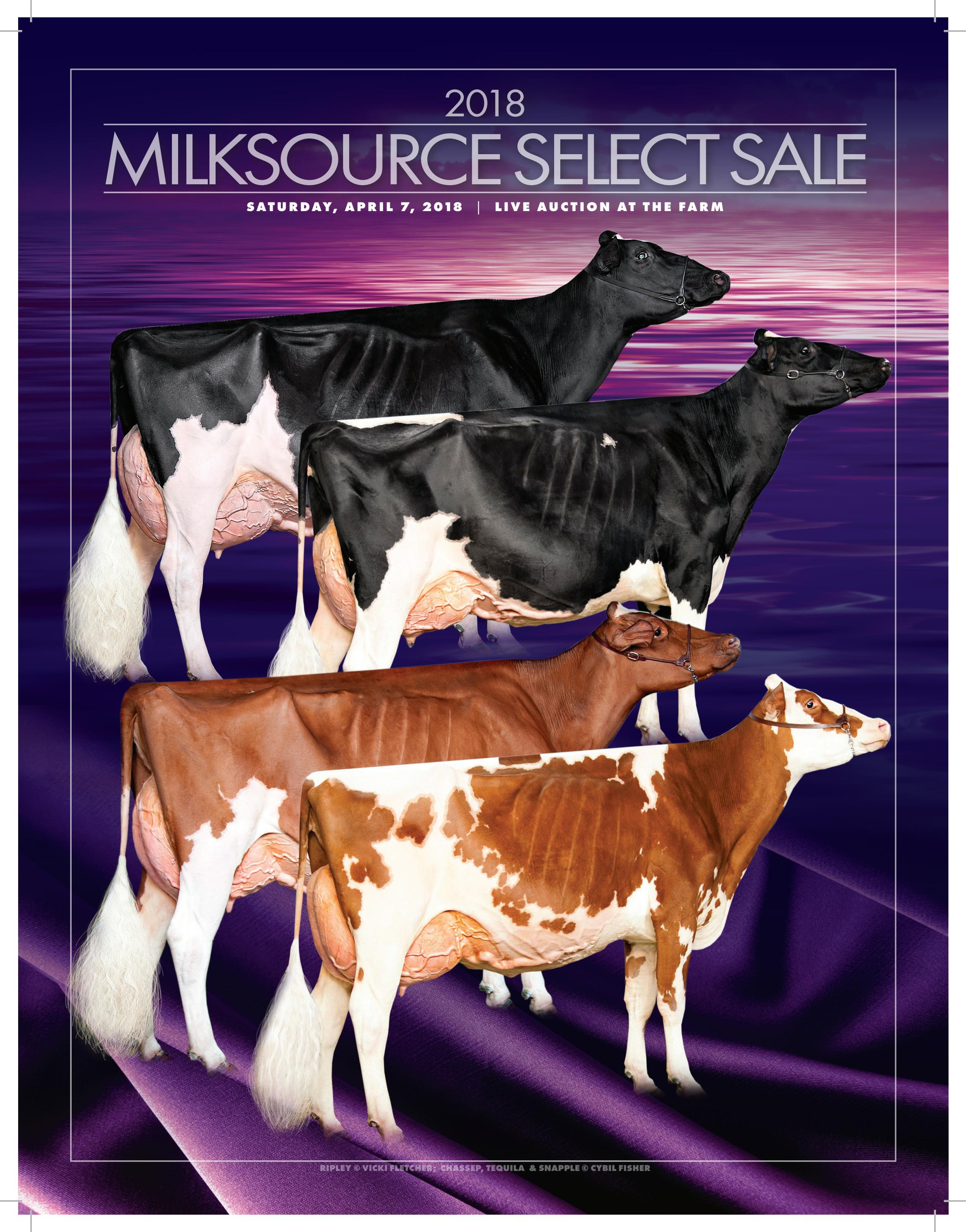 Milksource Select Sale 2018 by Cowsmopolitan - Issuu