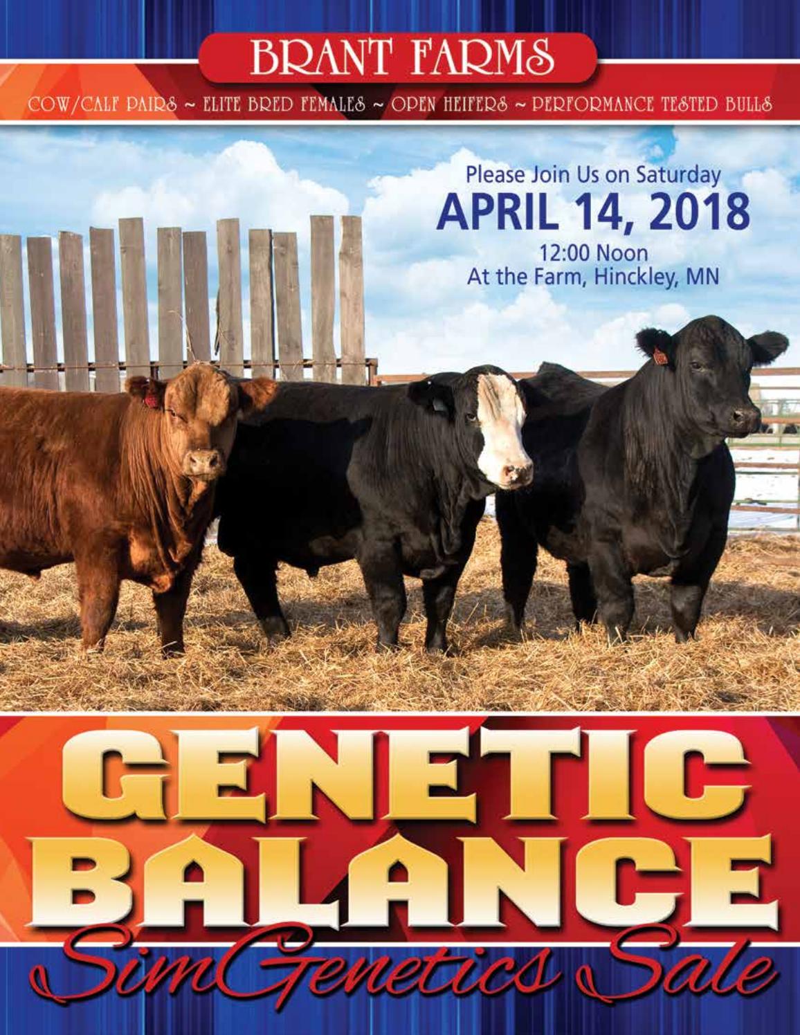 2018 Brant Farms Genetic Balance Sale by Eberspacher Enterprises - Issuu