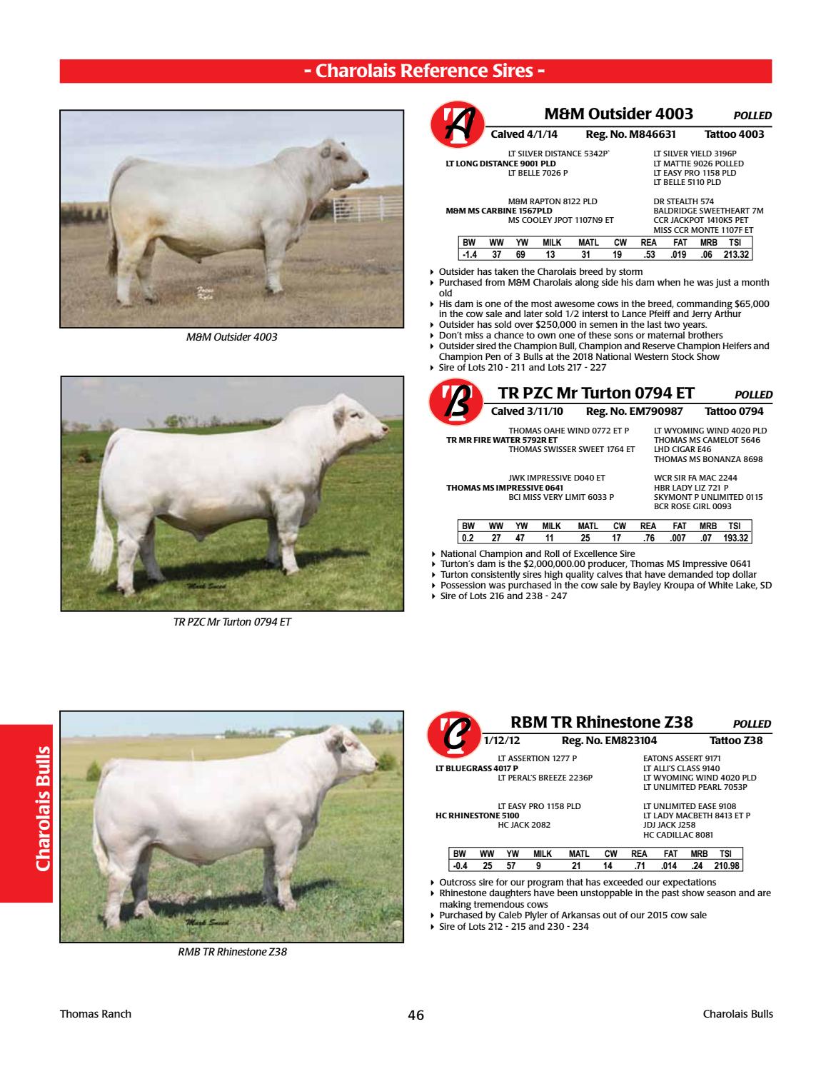2018 Thomas Ranch charolais catalog by Ranch House Designs - Issuu