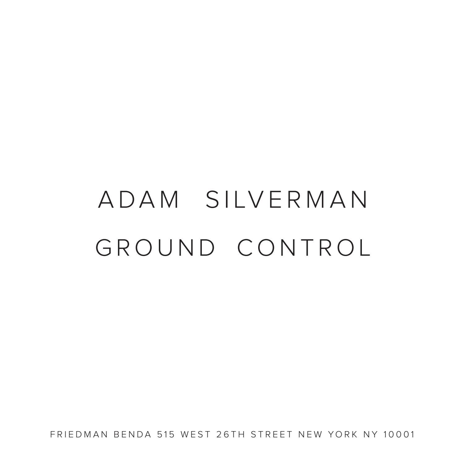 Adam Silverman: Ground Control by Friedman Benda - Issuu