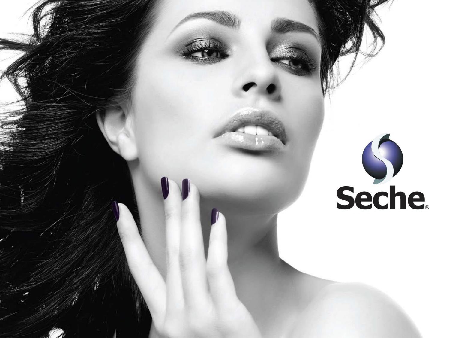 American International Industries, Seche Product Catalog by Just Got 2 ...