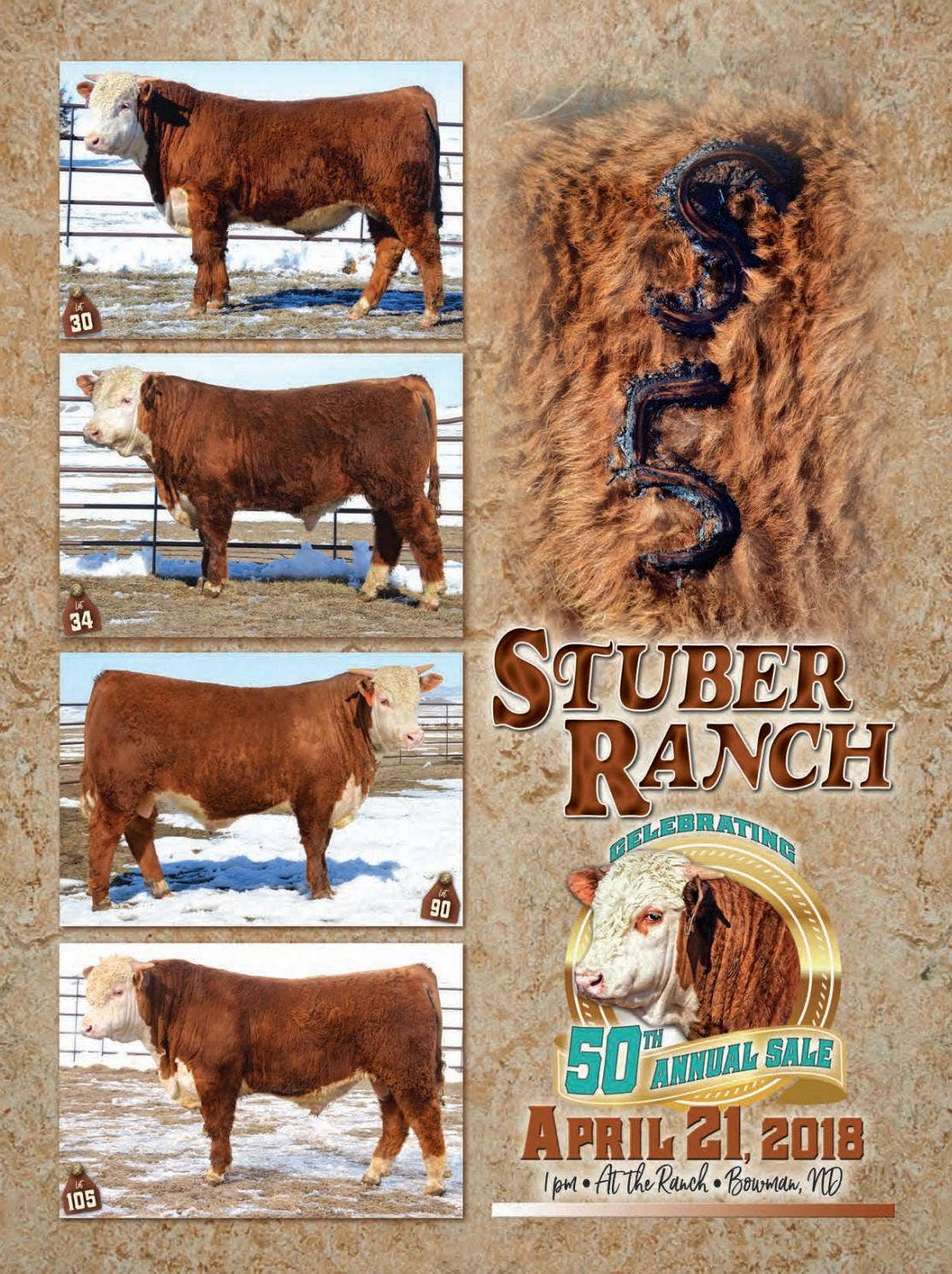 Stuber Ranch - 2018 Bull Sale Catalog by LivestockDirect - Issuu