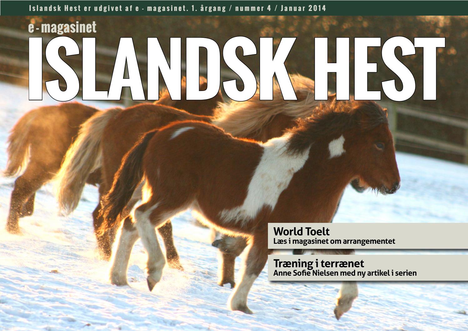 ISLANDSK HEST Januar 2014 by BJ Media - Issuu