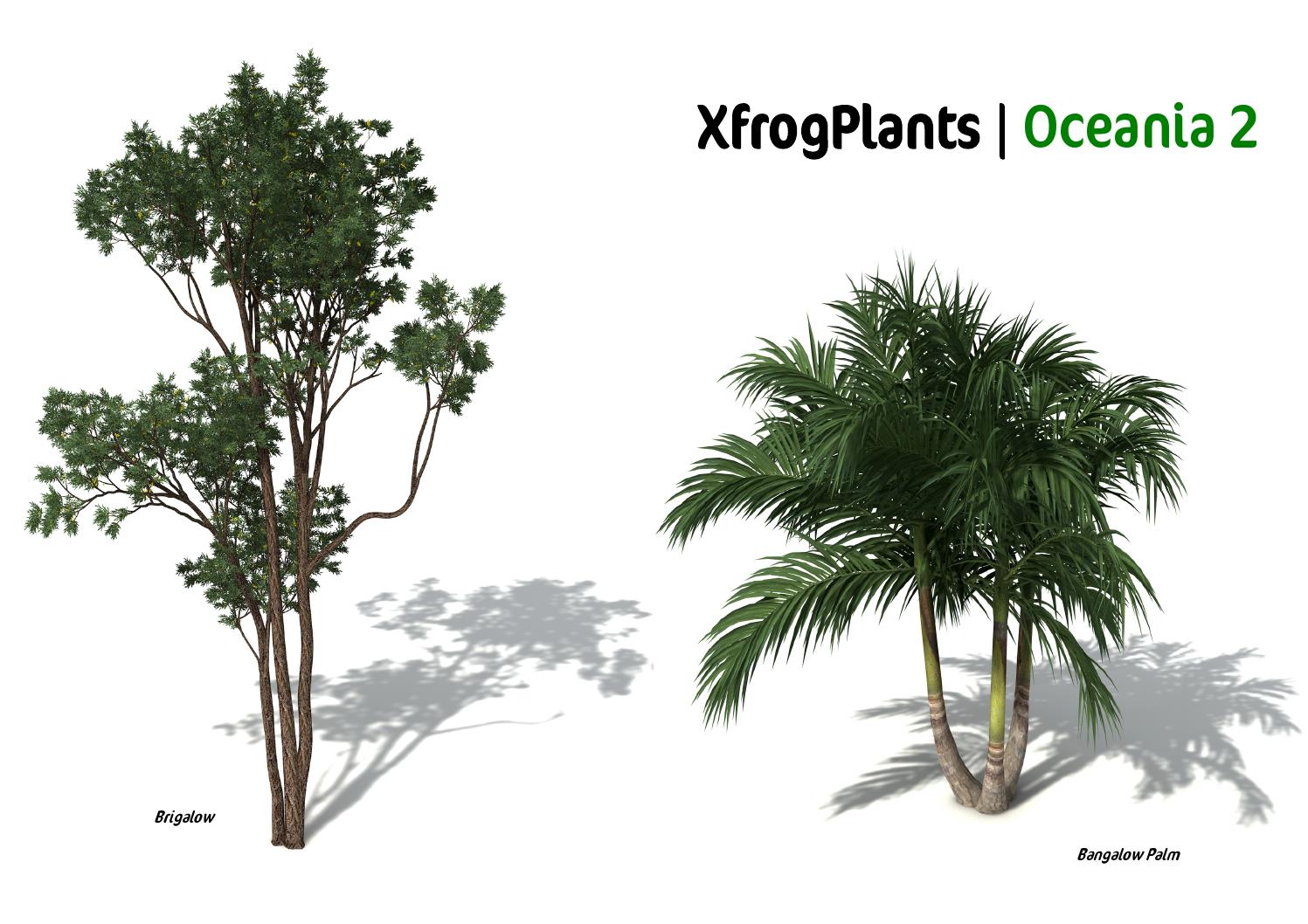 Oceania2 xfrogplants en by XFROG - Issuu