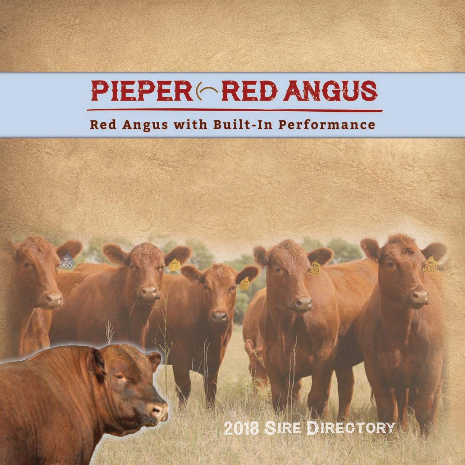 Pieper Red Angus by Coyote Publishing Ltd. - Issuu