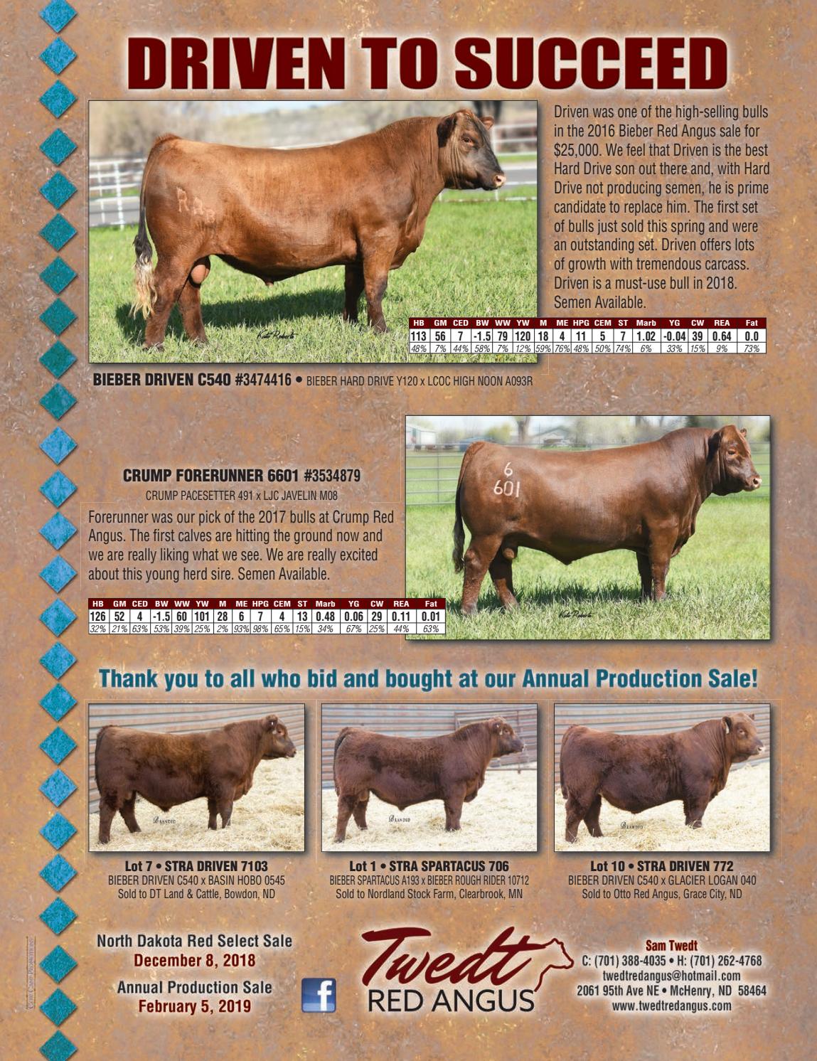 Bull Semen Hard Drive