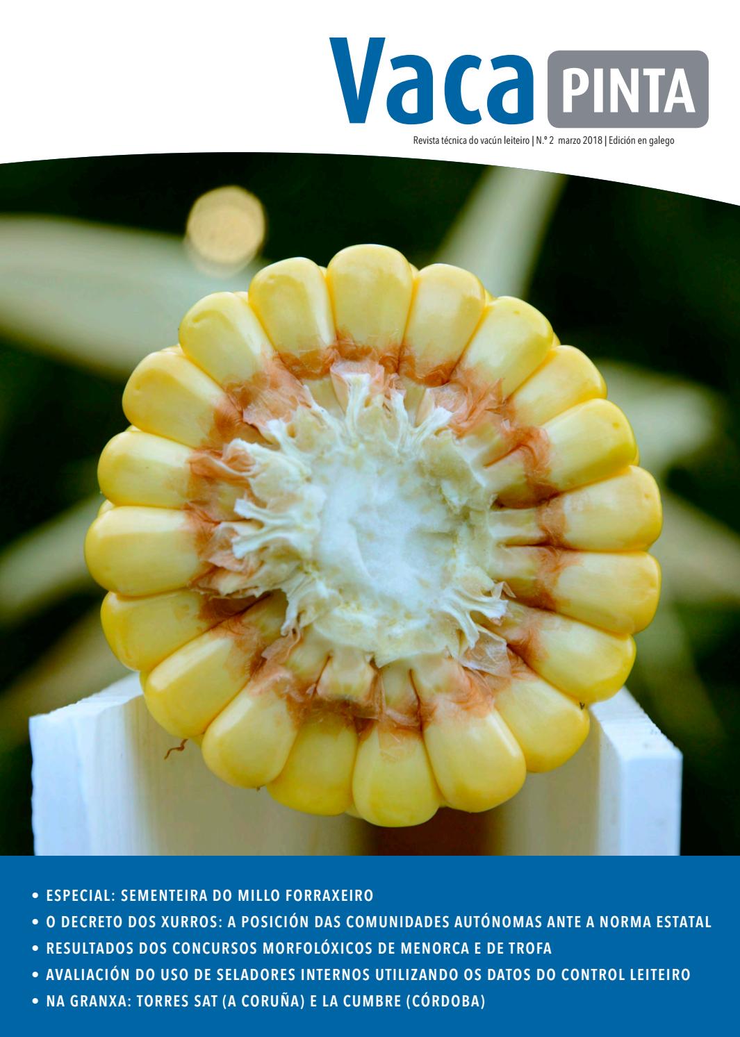Vaca Pinta 2. Edición galego by TRANSMEDIA COMUNICACIÓN - Issuu
