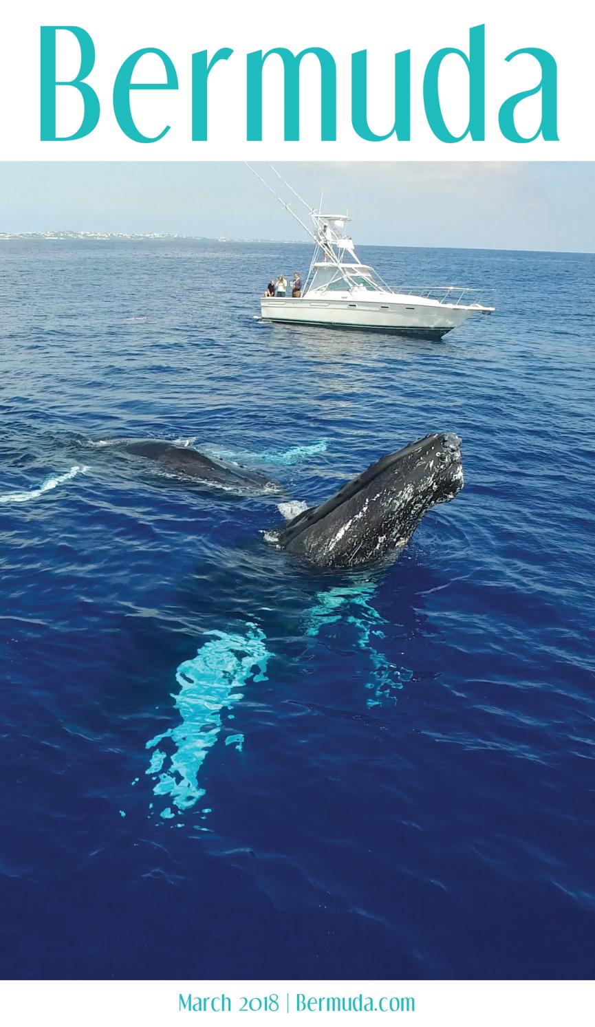 Bermuda Magazine March 2018 by Bermuda Magazine - Issuu