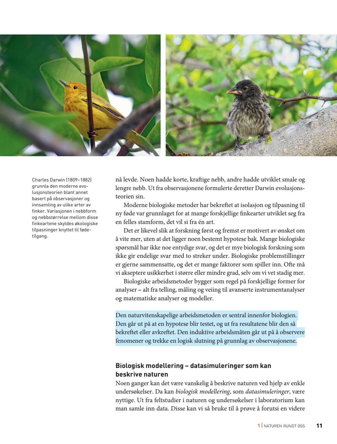 Bios Biologi 1 Lærebok (2018) (utdrag) by Cappelen Damm - Issuu