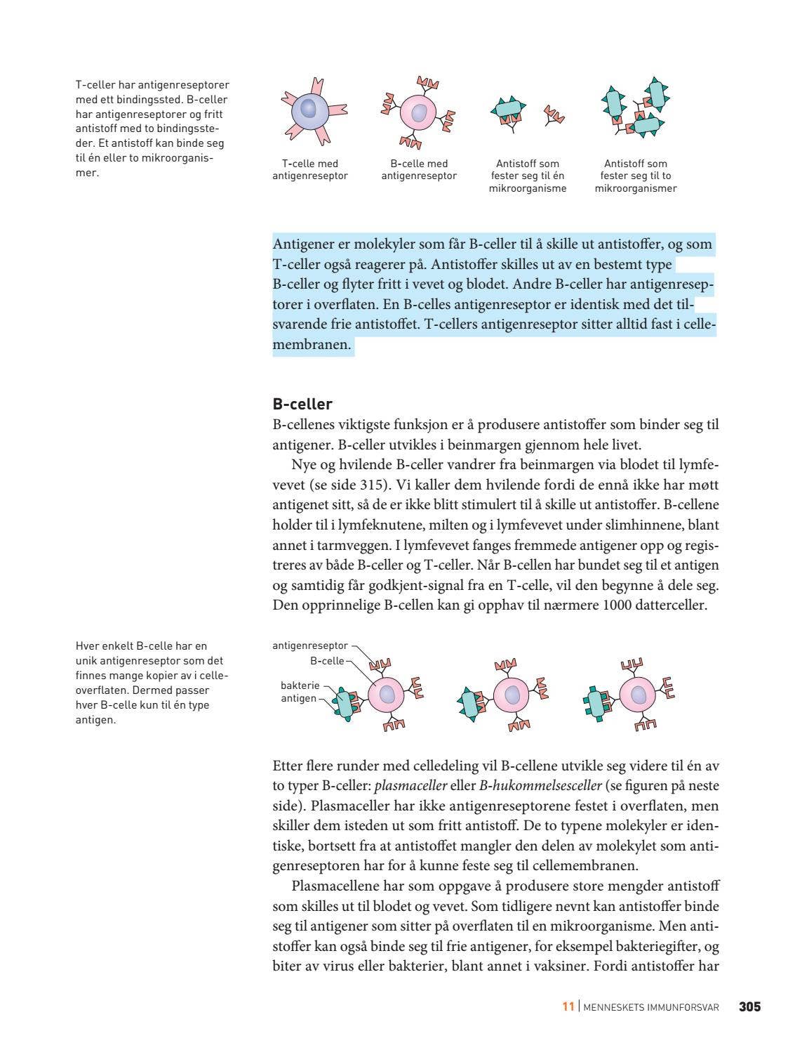 Bios Biologi 1 Lærebok (2018) (utdrag) by Cappelen Damm - Issuu