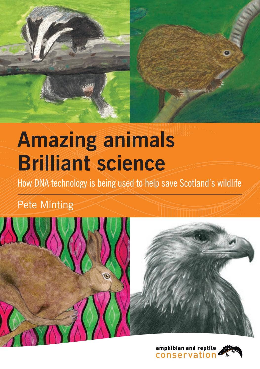 Amazing Animals, Brilliant Science by Amphibian and Reptile ...