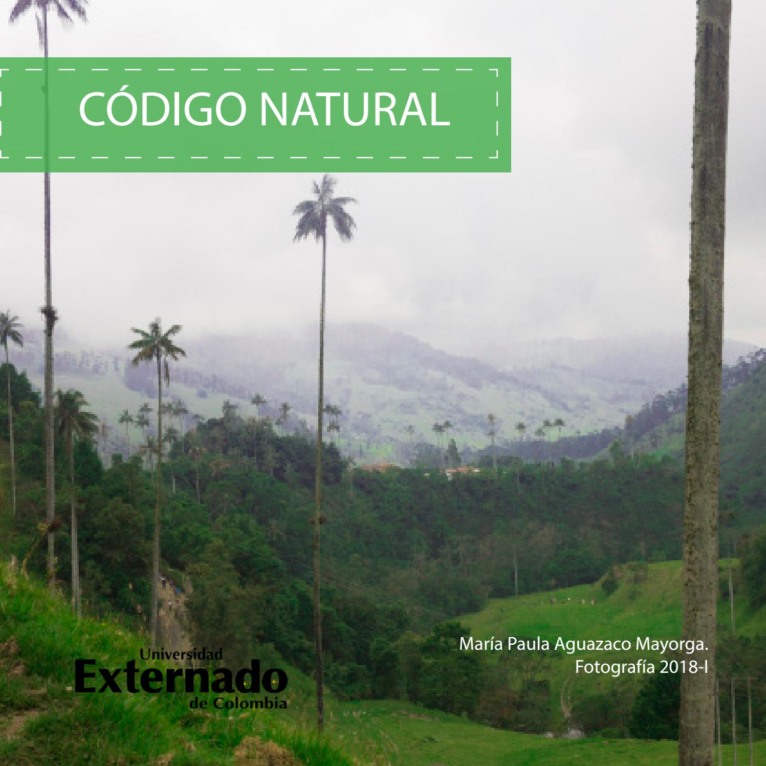 Código Natural by Fotoexternado - Issuu