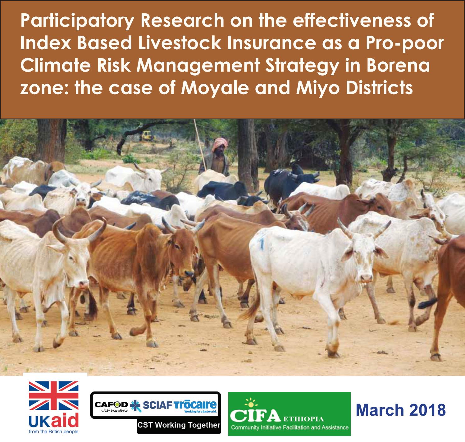 Research on Index Based Livestock Insurance (Ethiopia) by Samson Haile ...