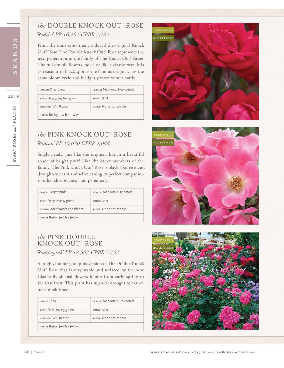 2019 Star® Roses and Plants Catalog by Star® Roses and Plants - Issuu