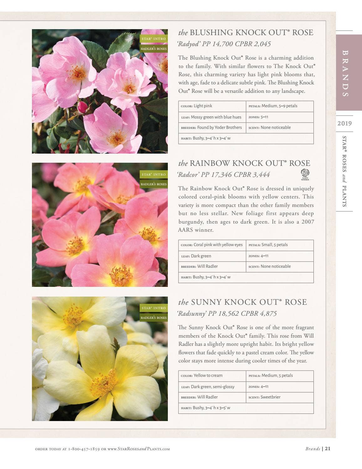 2019 Star® Roses and Plants Catalog by Star® Roses and Plants - Issuu
