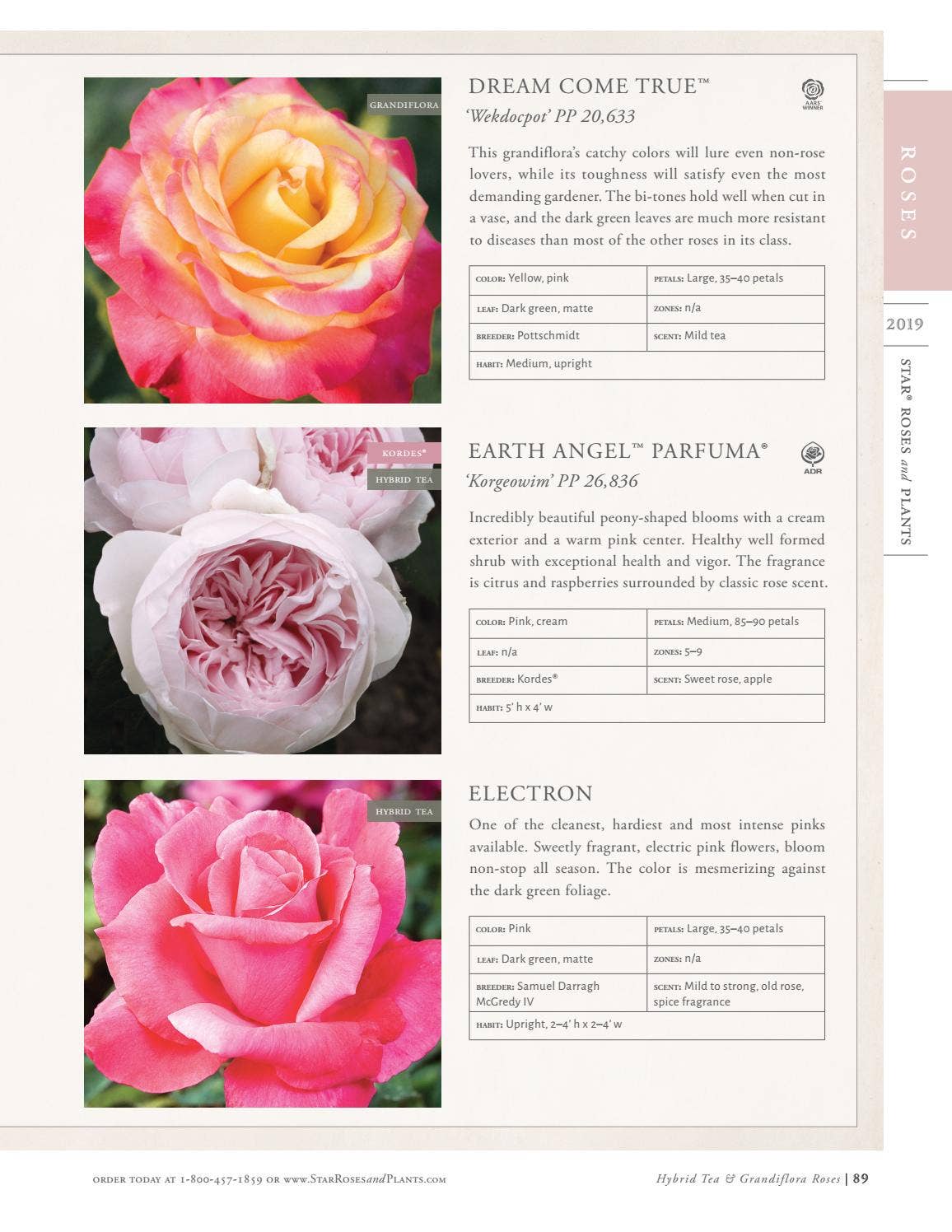 2019 Star® Roses and Plants Catalog by Star® Roses and Plants - Issuu