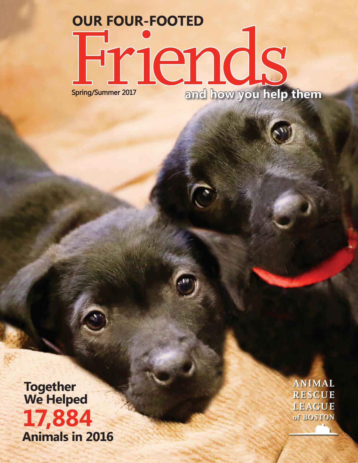 Our Four Footed Friends Spring/Summer 2017 by Animal Rescue League of ...