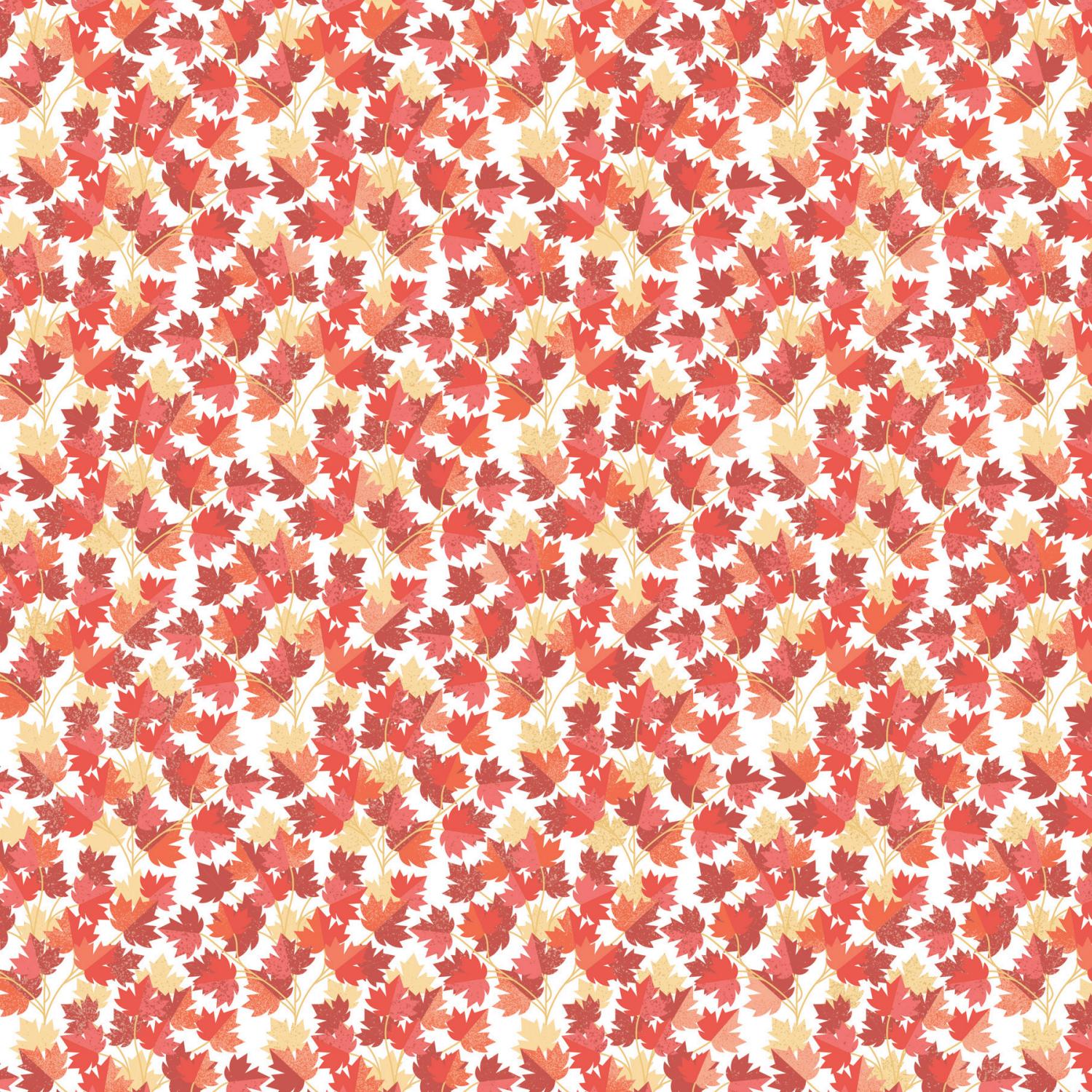 O Canada Paper Pack by Creative Memories - Issuu