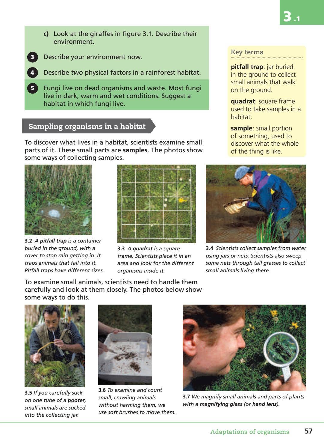 Preview Cambridge Lower Secondary Science Stage 7 Student's Book by ...