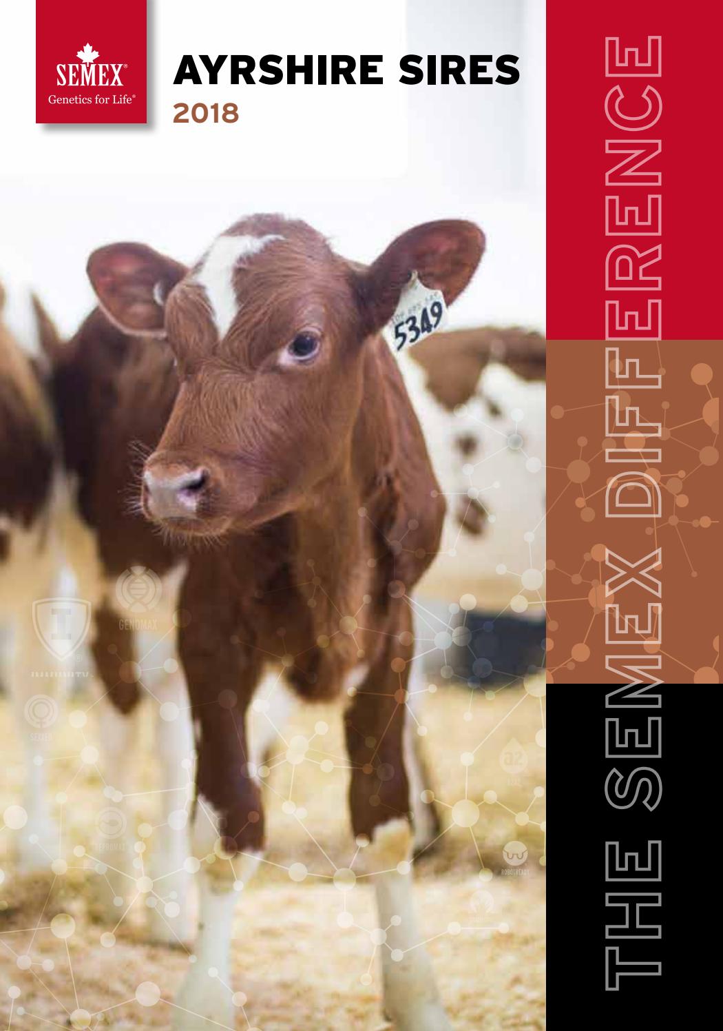 Semex UK - Ayrshire Sire Directory 2018 by Semex - Issuu