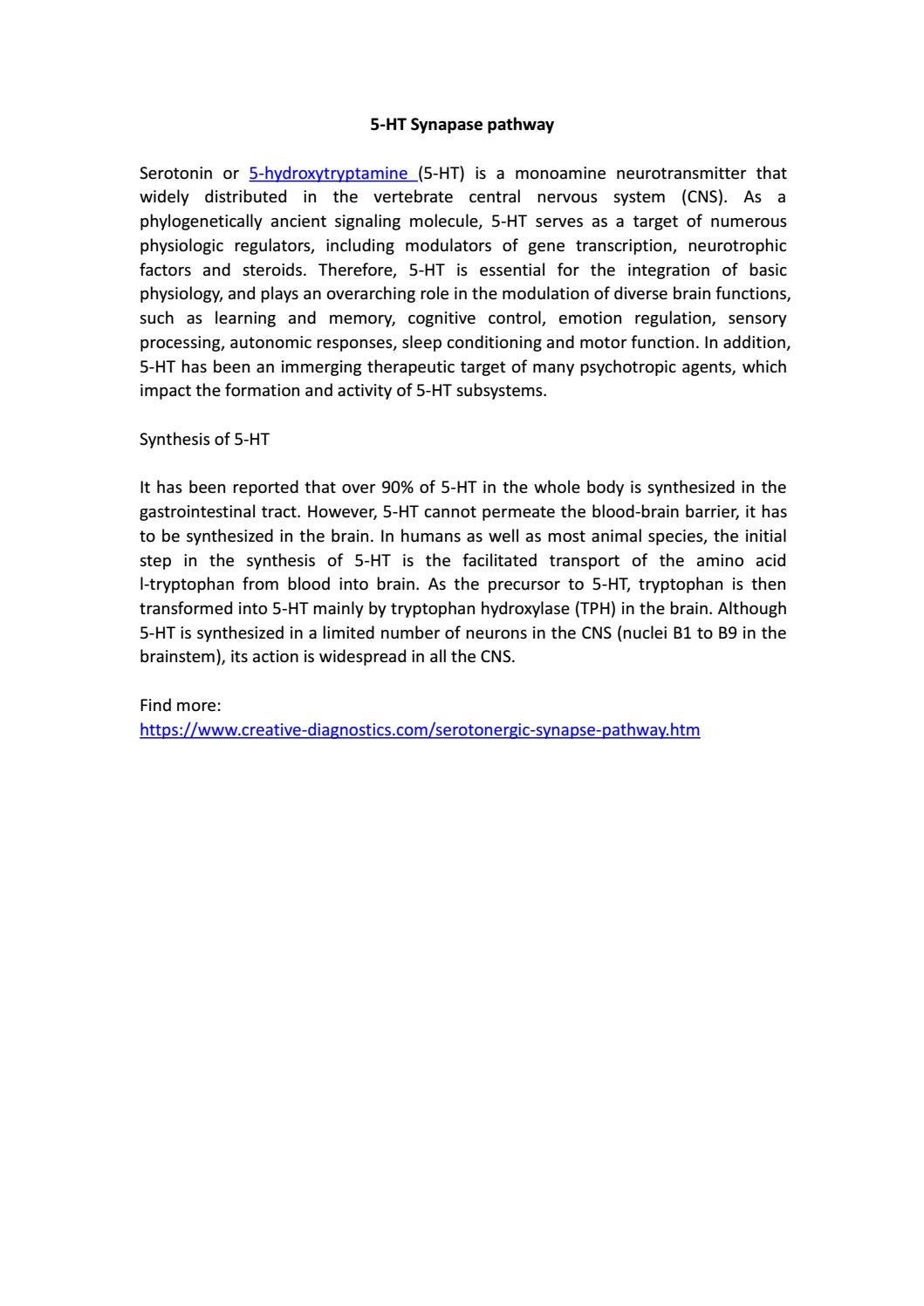 5 ht synapase pathway by Creative Diagnostics - Issuu