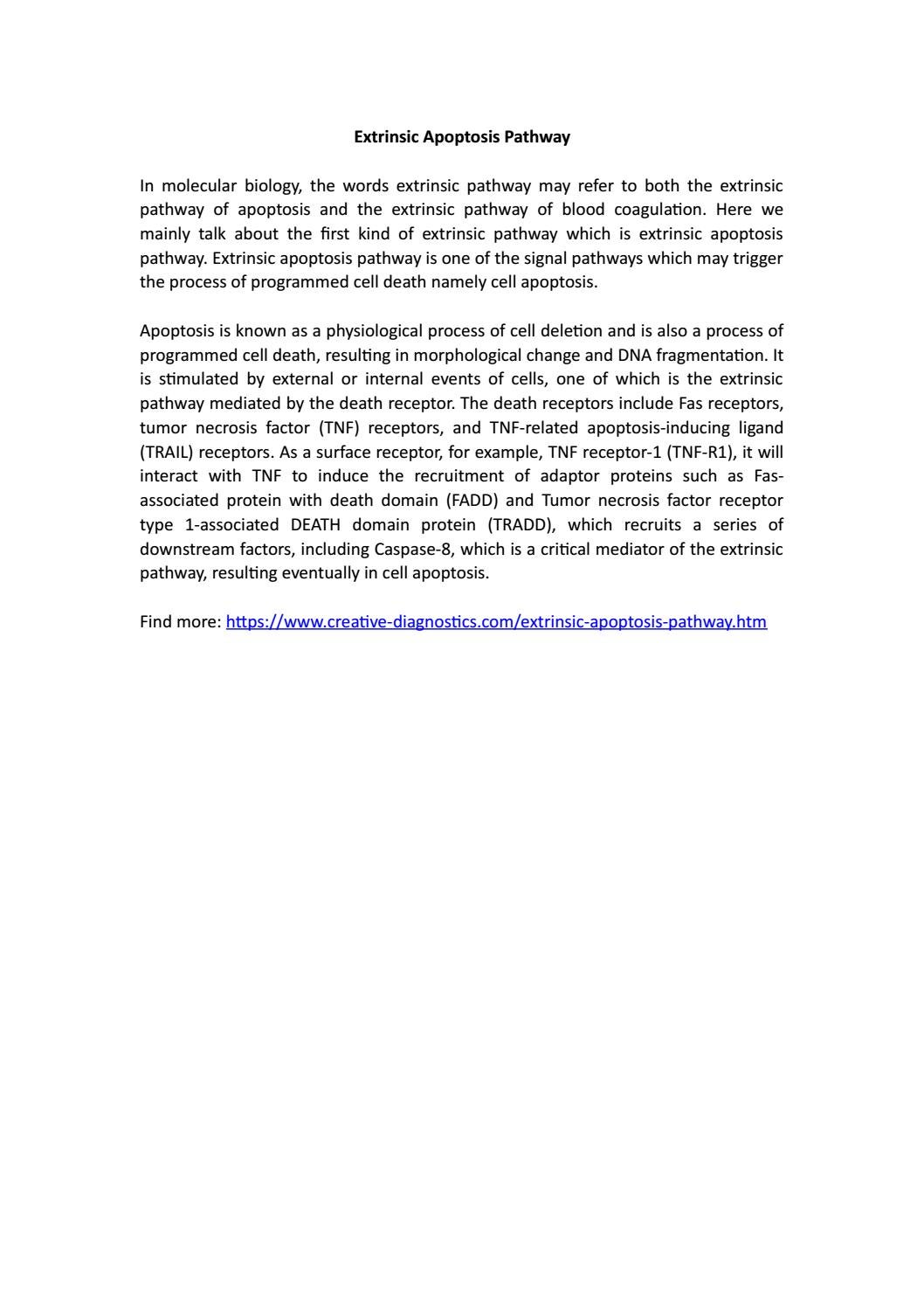 Extrinsic apoptosis pathway by Creative Diagnostics - Issuu