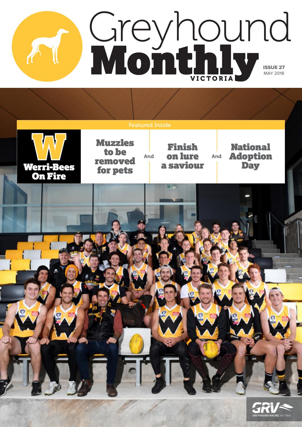 Greyhound Monthly Victoria - Issue 27 by Greyhound Racing Victoria - Issuu