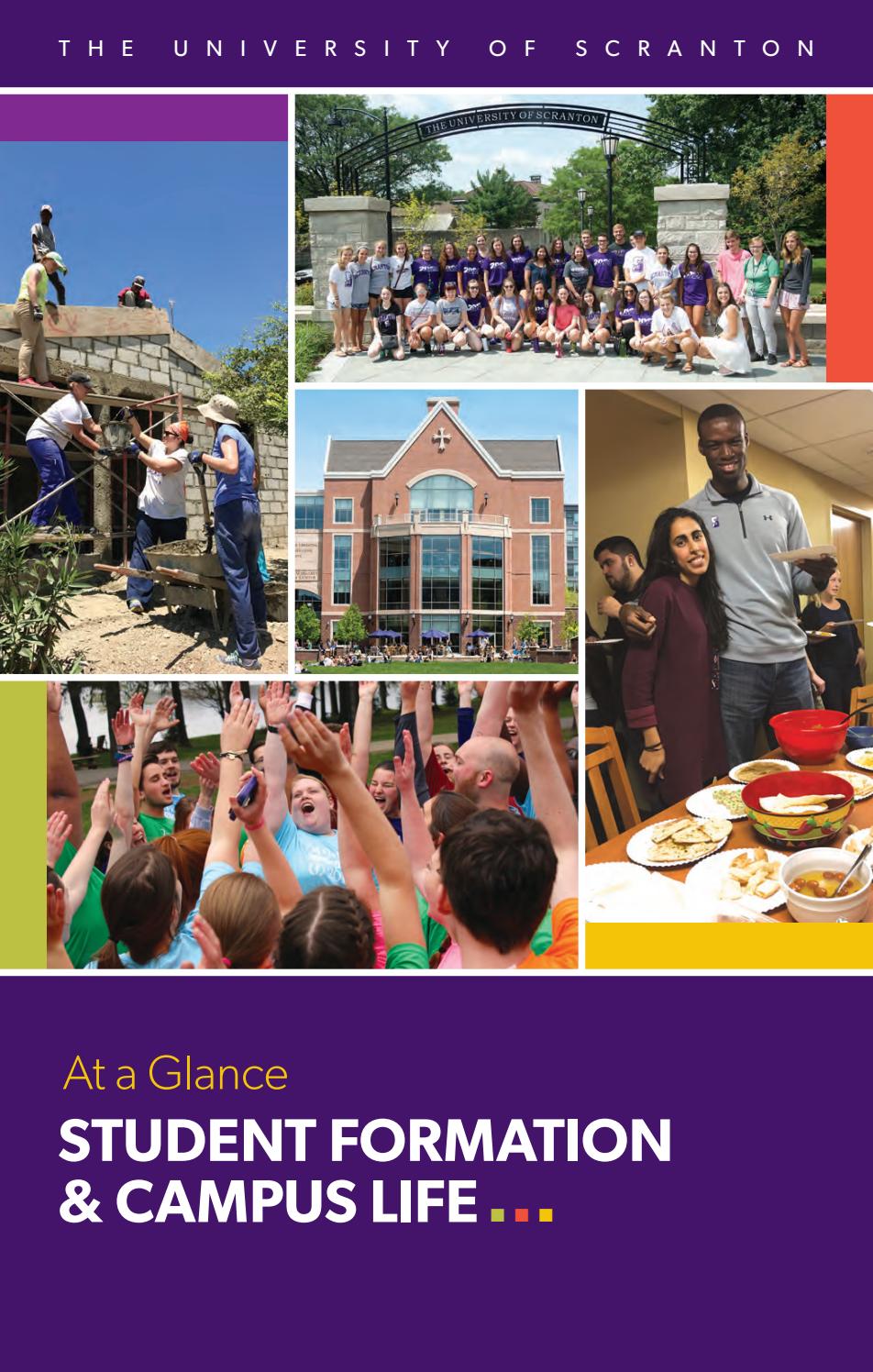 Student Formation & Campus Life at a Glance: Key 2015-2020 Strategic ...