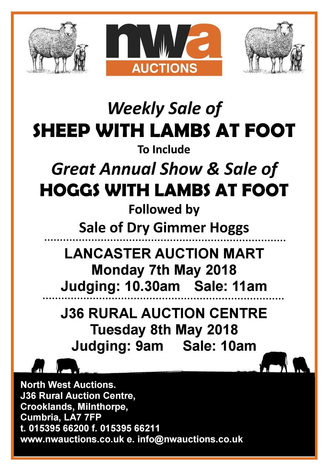 Lancaster & J36 Show & Sale of Hoggs with Lambs by North West Auctions ...