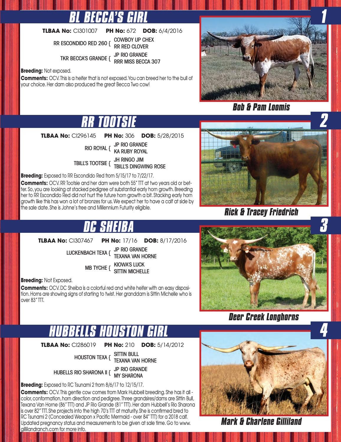 2018 Red River Longhorn Sale Catalog by Texas Longhorn Trails Magazine ...